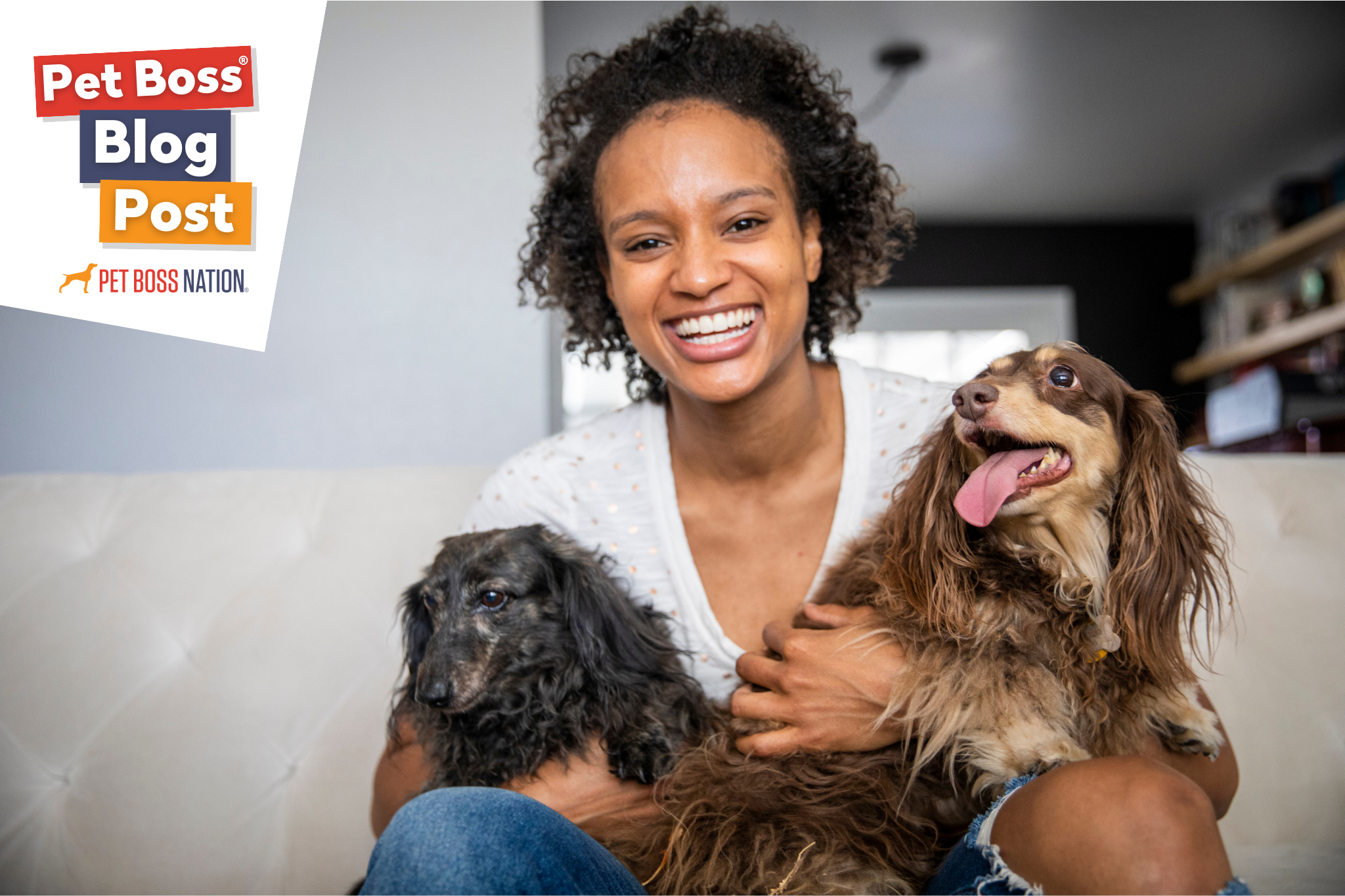 How To Tell Your Story In Your Pet Business’ Marketing